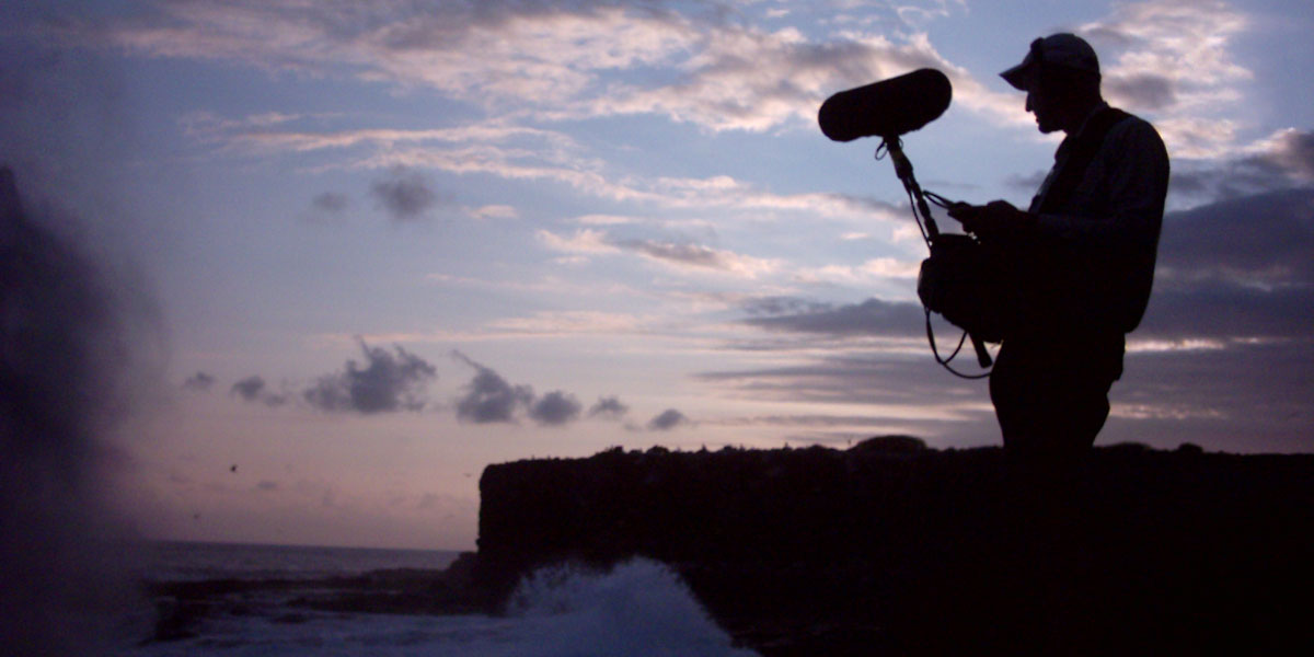 The Nimbus Project | This is Wyld